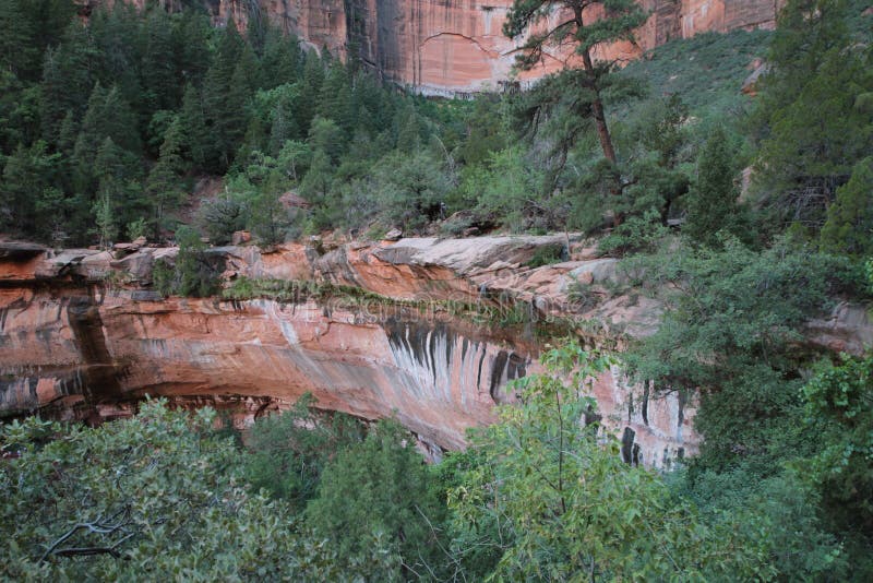 Cliffs in forest stock photo. Image of natural, rock - 96055020