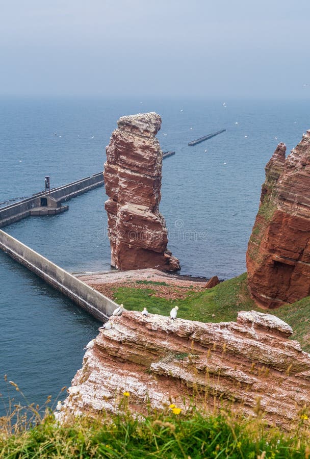 Cliffs on Helgoland in Germany Stock Photo - Image of landscape ...