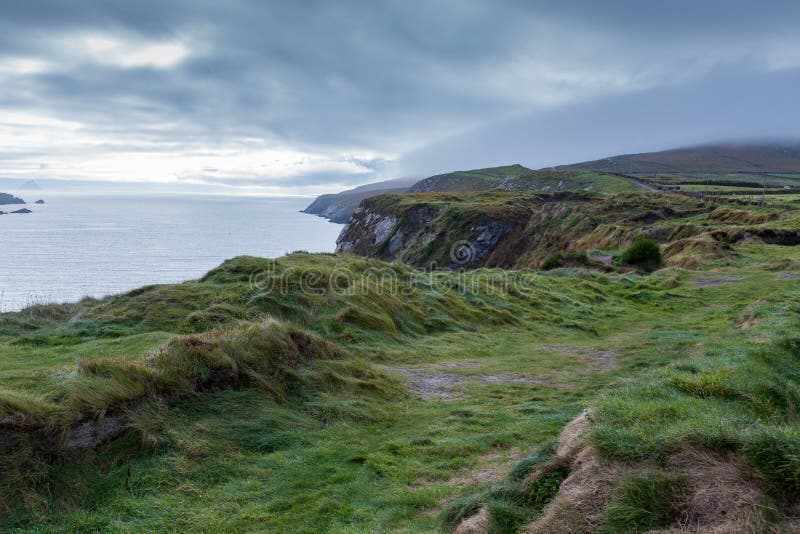 Beachside Cliffs Covered in Wild Flowers. Stock Photo - Image of bloom ...