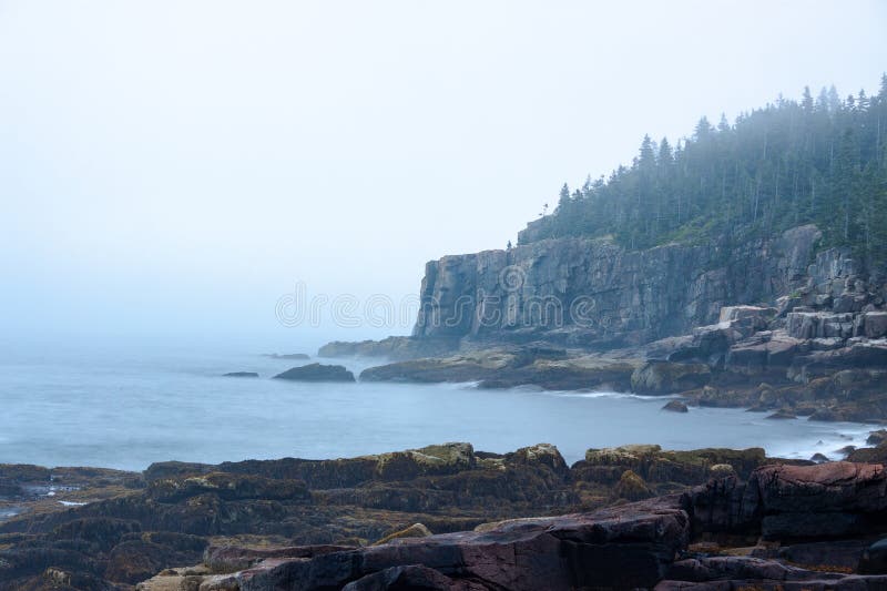 Cliff by Sea in Acadia National Park Stock Photo - Image of forest ...