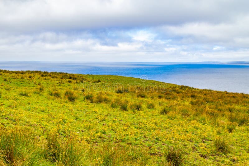 Cliffs of Moher Trail with Farm Fields and Ocean Stock Image - Image of ...