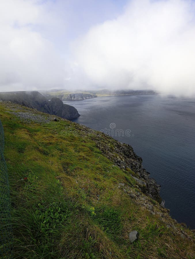 Cliffs of North Cape stock image. Image of coastline - 77019797