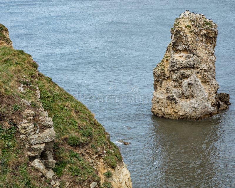 Cliffs and Rocks on the California Coast Stock Photo - Image of scenic ...