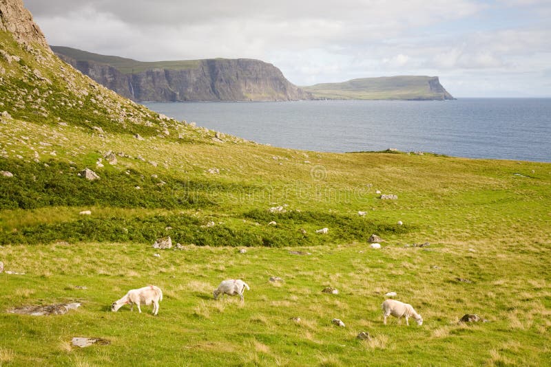 Cliffs, Scotland stock photo. Image of britain, neist - 11384638
