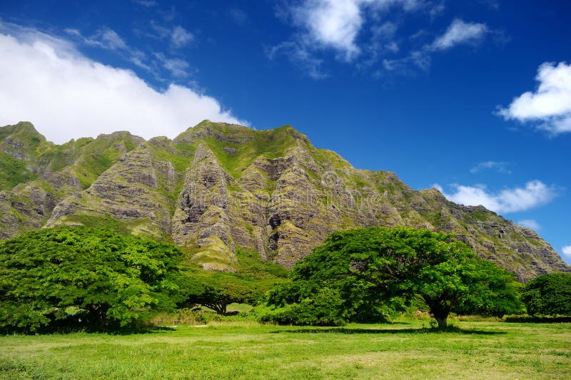 Cliffs and Trees of Kualoa Ranch, Oahu Stock Photo - Image of green ...