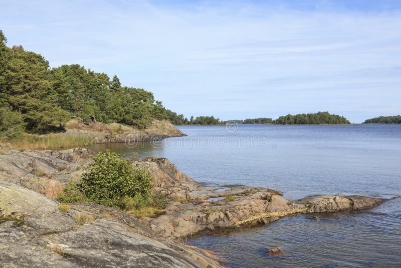 Water Edge with reeds stock photo. Image of still, reed - 59112004