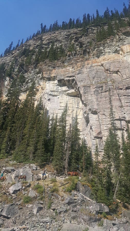 Cliffside Trees stock image. Image of mountain, rock - 151365179