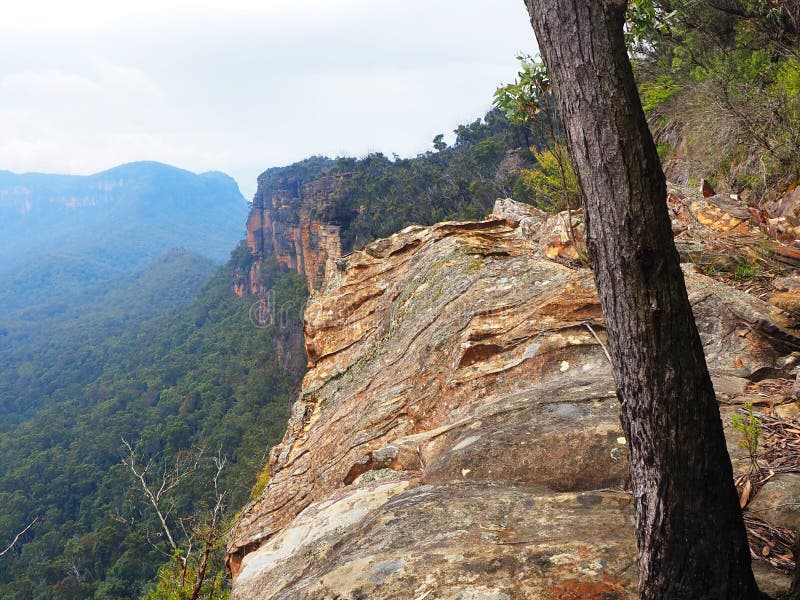 Cliffside View with Tree and Layers of Rock Stock Photo - Image of ...