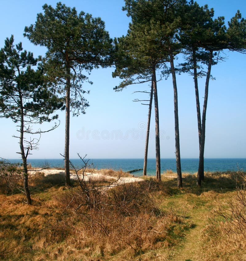 Clima marítimo imagen de archivo. Imagen de arena, resorte - 13476643