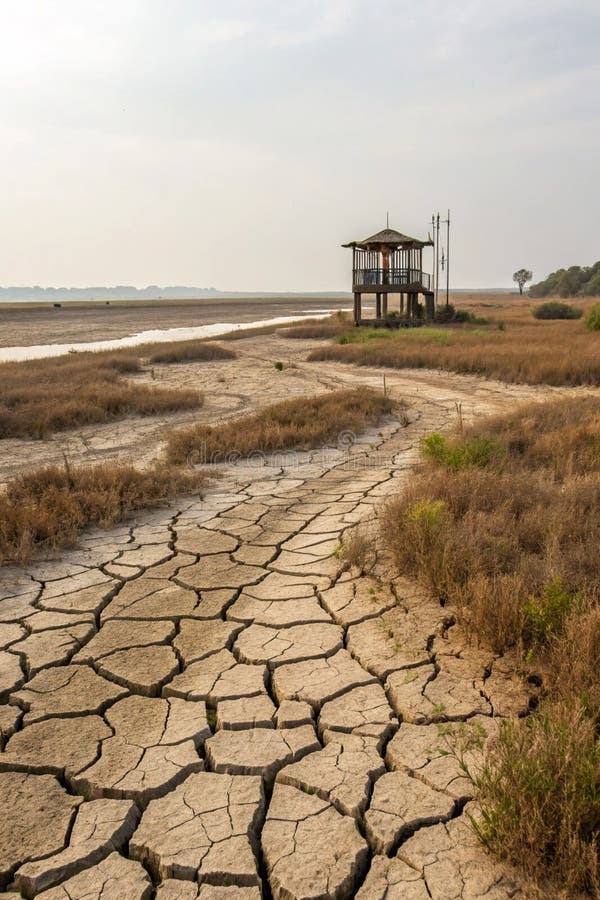 Climate Change. Dry Marshes with Nice Structure Stock Illustration ...