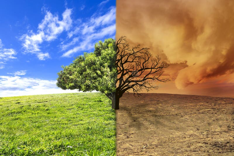 Climate Change Landscape with Tree Stock Image - Image of clouds ...