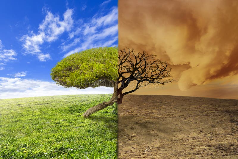 Climate Change Landscape with Tree Stock Image - Image of desert ...