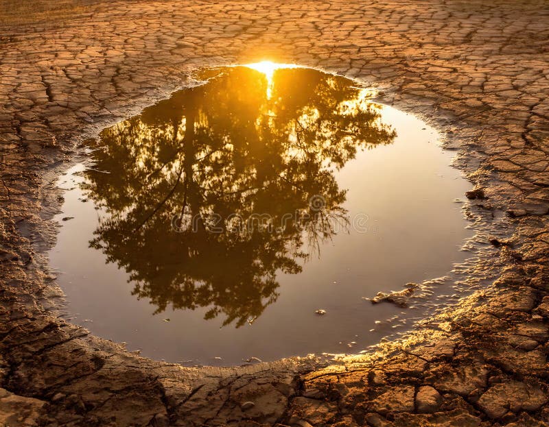 Climate Change - a Puddle in Dry Earth Stock Illustration ...