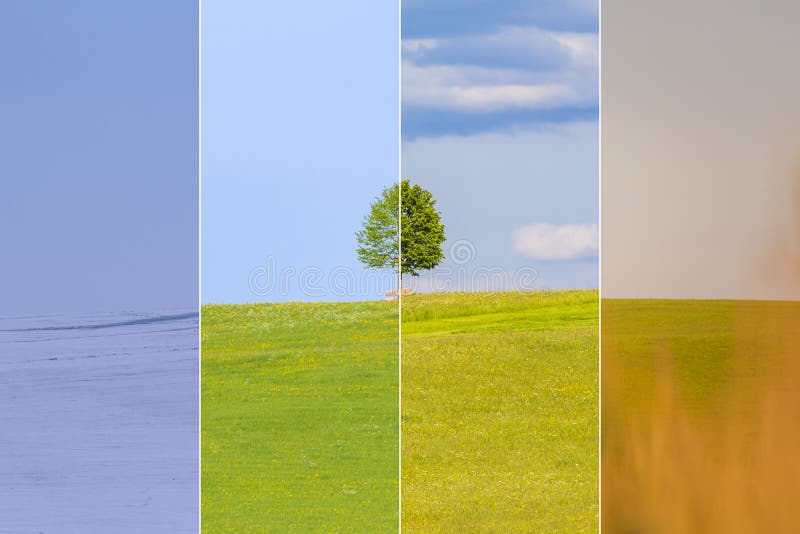 Climate Change Winter Spring Summer Fall Over the Year Blocks Stock ...