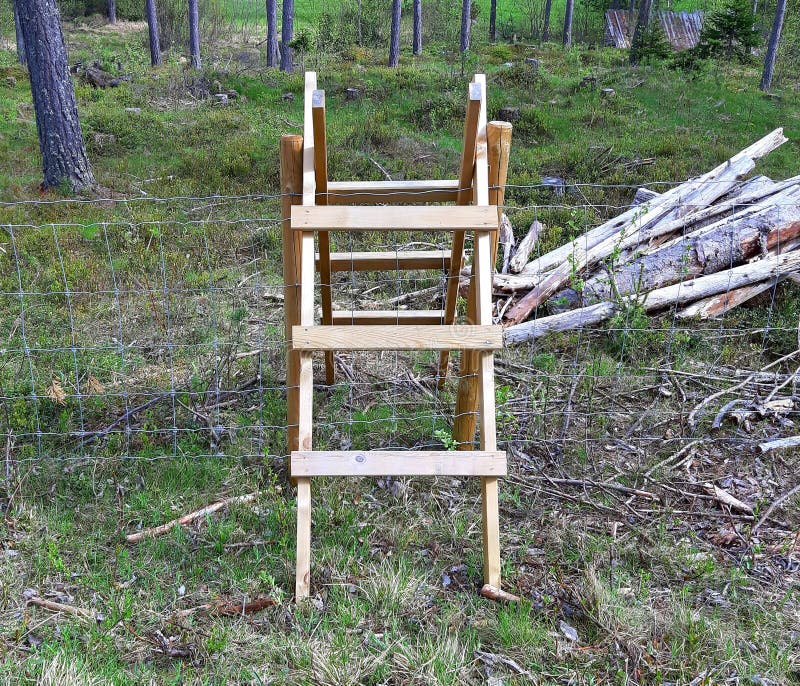 Climb the Sladder, You Have the Best View in the Middle Stock Image ...