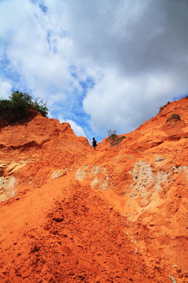 Climb Up stock photo. Image of natural, morning, nature - 21551462