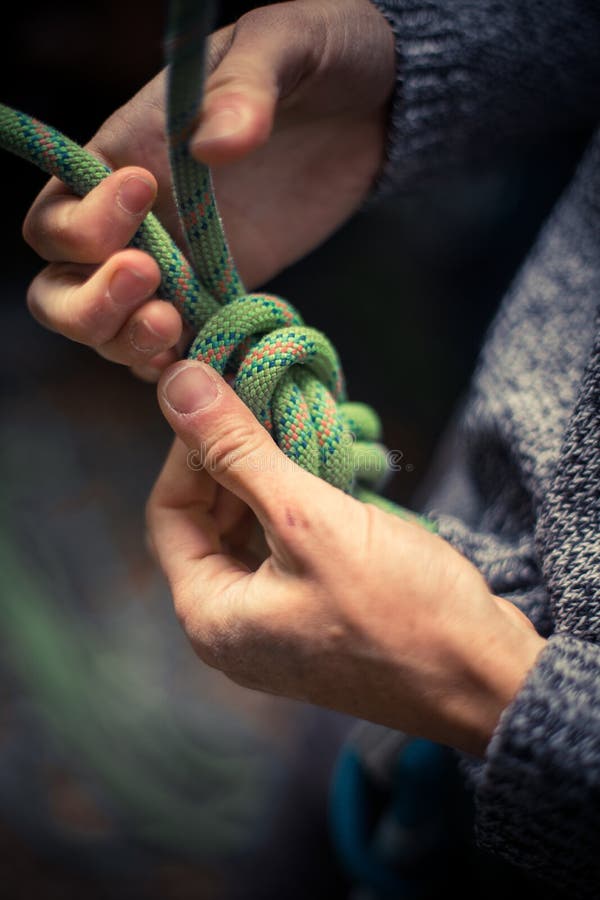 Climber`s Hands Tying a Figure Eight Know To the Harness Stock Photo ...