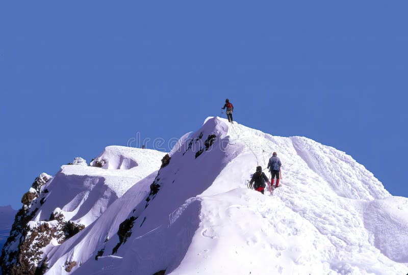 Climbers Summit of Mt. Hood Stock Photo - Image of rope, summit: 247004616