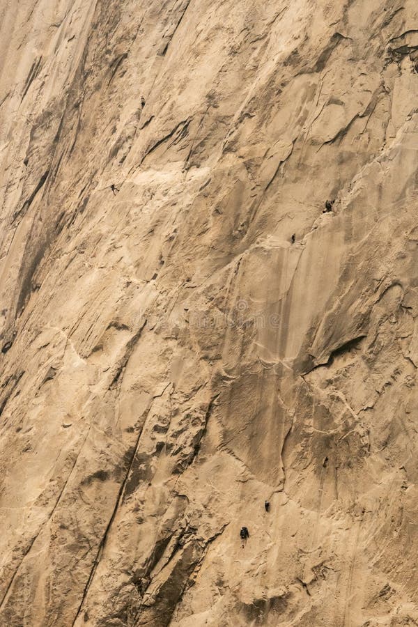 Climbing El Cap stock photo. Image of outdoor, granite - 263999316