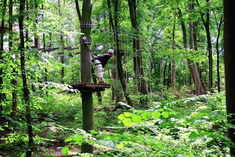 In the climbing forest editorial photo. Image of extreme - 43275726