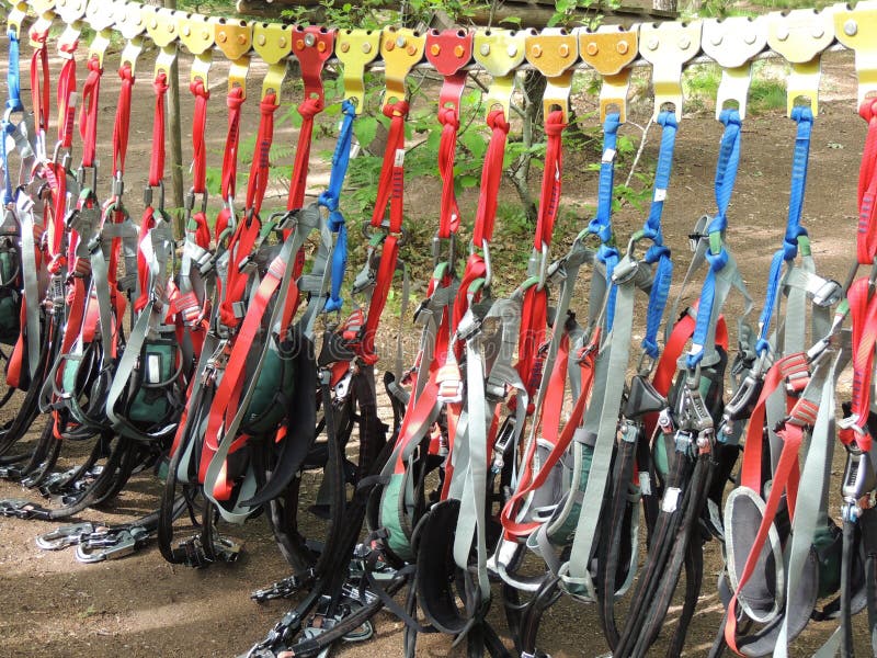 Climbing Harness stock image. Image of climbing, tree - 93285461