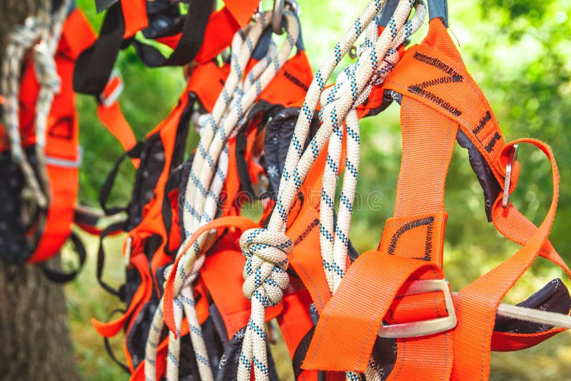 2,156 Harness Hanging Photos - Free & Royalty-Free Stock Photos from ...