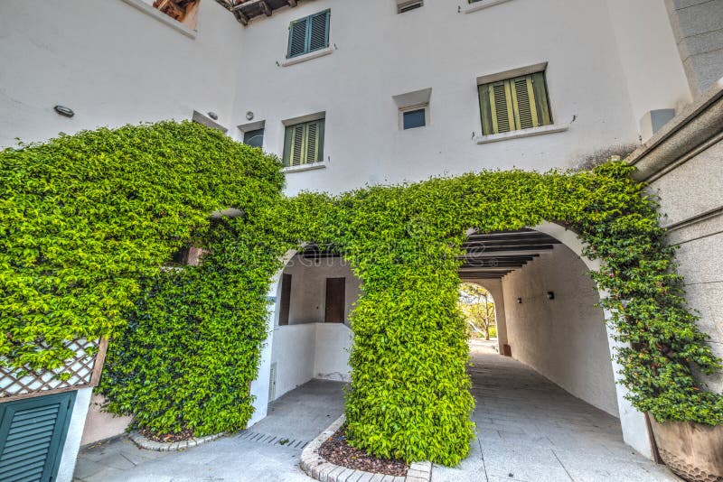 Climbing Plants on an Elegant Building Stock Image - Image of ...