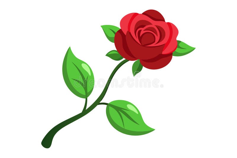 A Climbing Red Rose Vector Design with White Background Stock ...