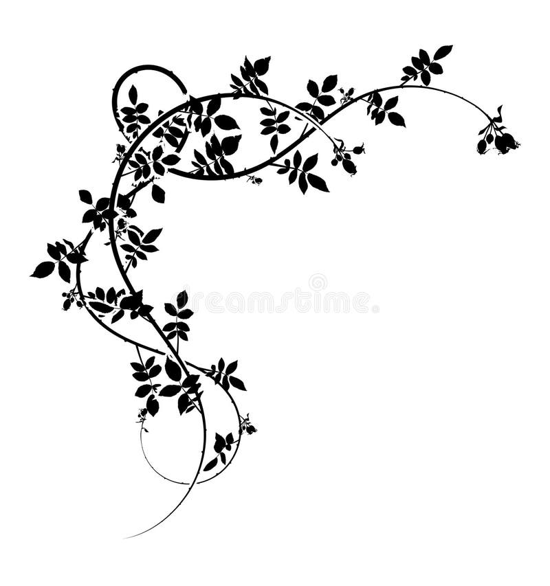 Climbing Rose Silhouette Stock Illustrations – 149 Climbing Rose ...