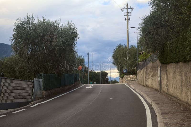 Climbing Side Road Bordered by Olive Tree Plantations Stock Image ...