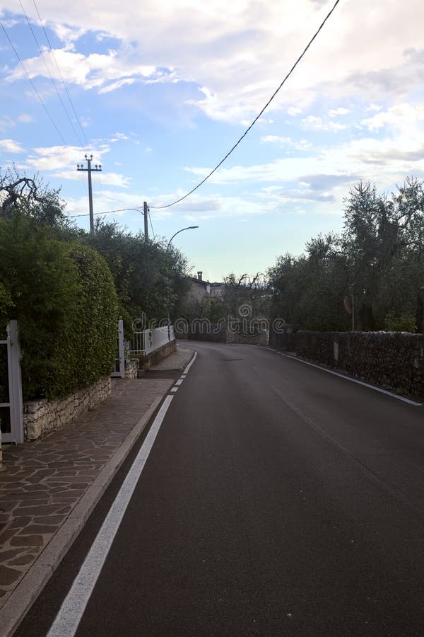 Climbing Side Road Bordered by Olive Tree Plantations Stock Photo ...