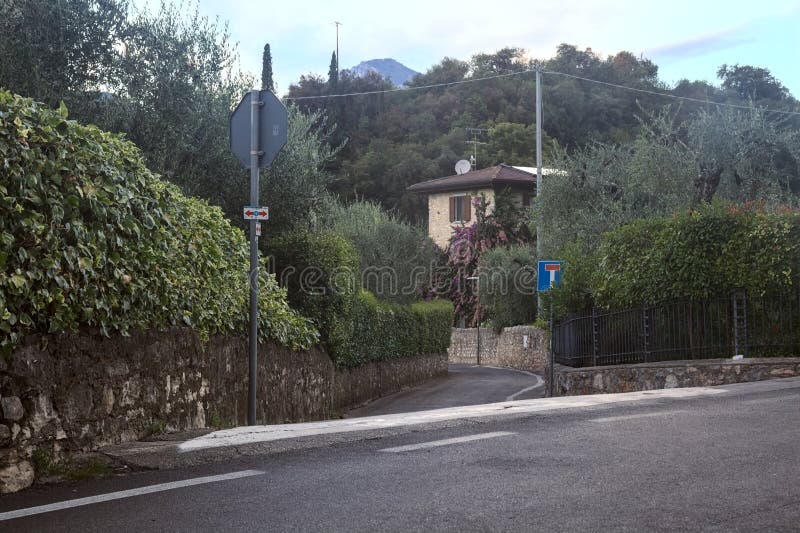Climbing Side Road Bordered by Olive Tree Plantations Stock Image ...