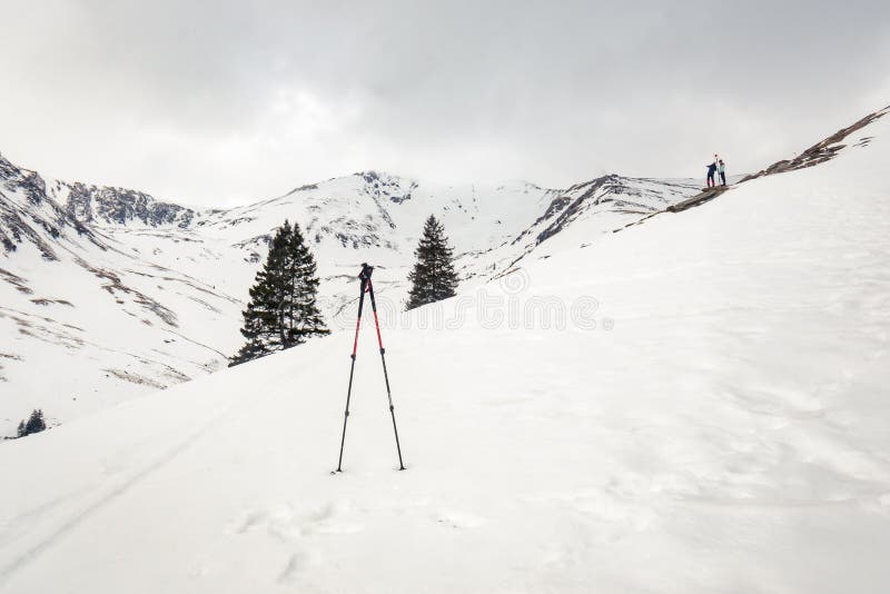 Climbing sticks in snow stock photo. Image of shepherds - 94613690