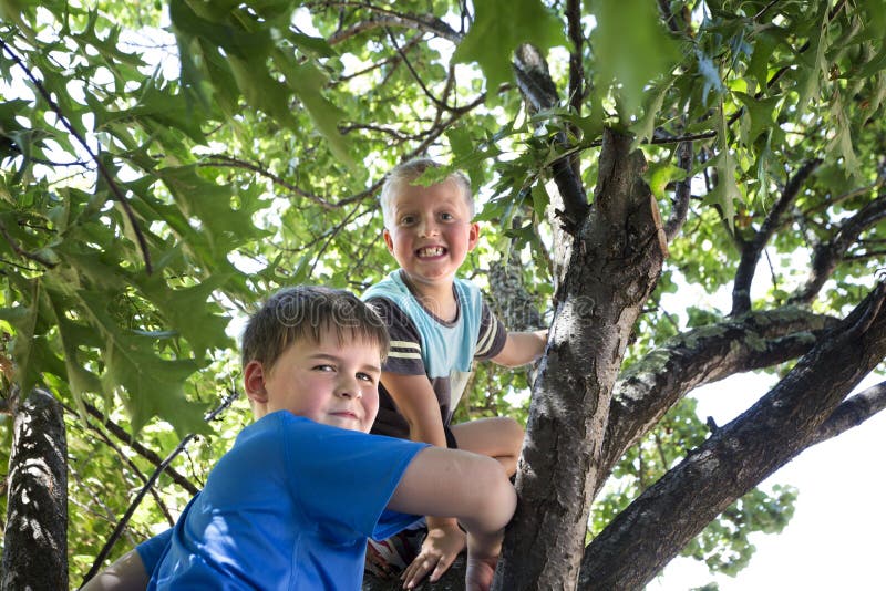 Climbing Trees Adventure. stock image. Image of friendship - 140926483