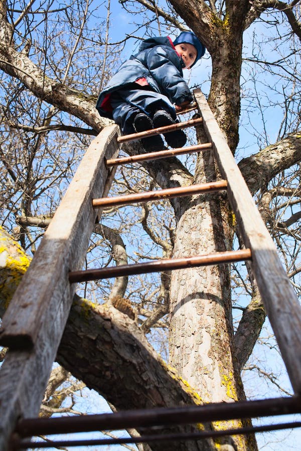 Climbing up tree stock image. Image of climb, tree, caucasian - 23331327