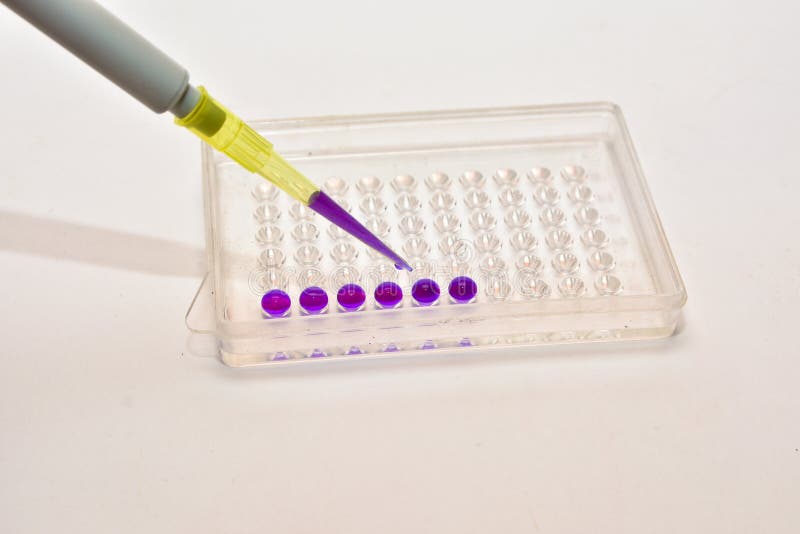 Well plate in the lab. stock image. Image of sample, analysis - 68750213