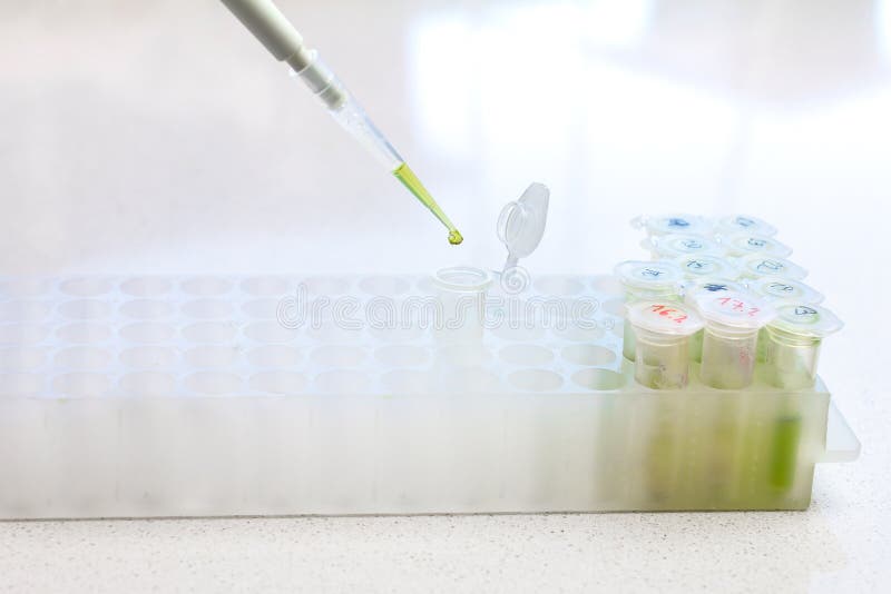 Clinical Laboratory in Process of Chemical Analysis. Collection of ...