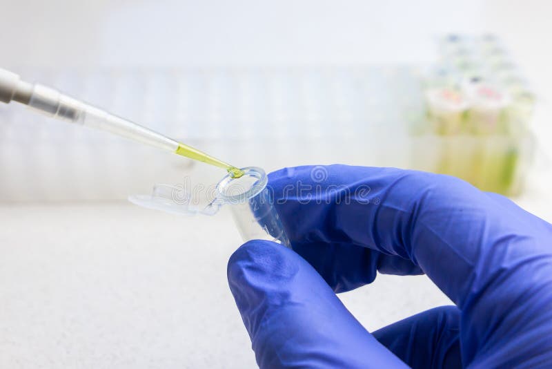 Clinical Laboratory in Process of Chemical Analysis. Collection of ...