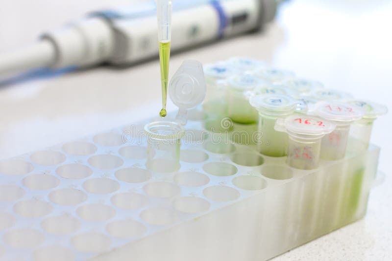 Clinical Laboratory in Process of Chemical Analysis. Collection of ...