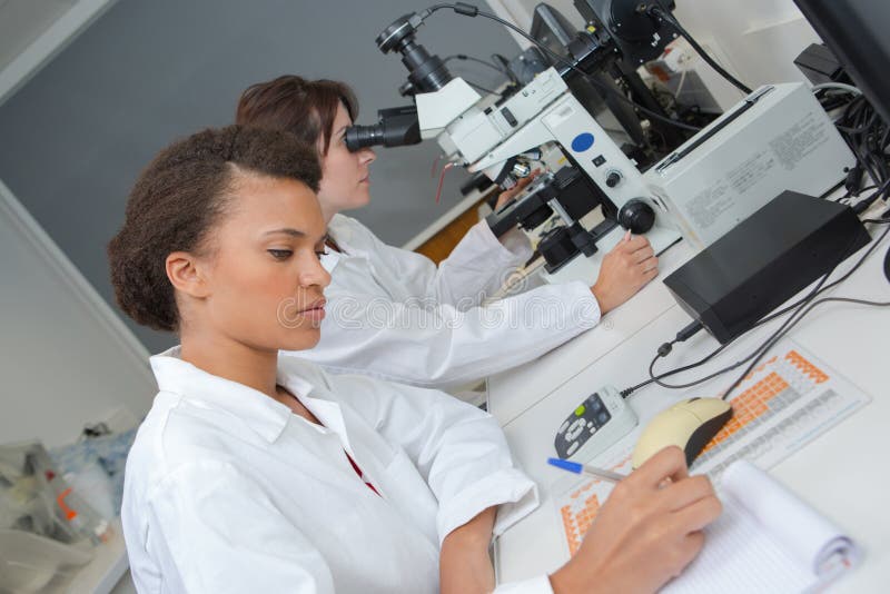 Clinical Secretary Taking Notes Stock Image - Image of microscope ...