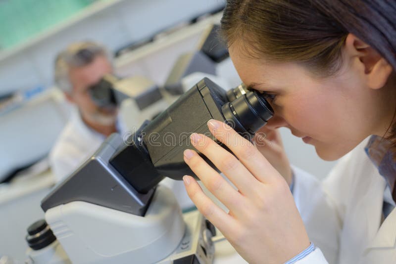 Clinical Technologist Observing Sample Stock Photo - Image of classify ...