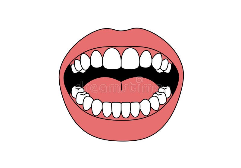 Clip art mouth with teeth stock vector. Illustration of teeth - 364072997