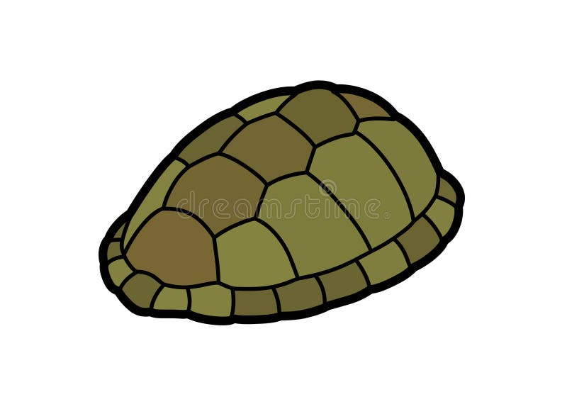 Clip art turtle shell stock vector. Illustration of reptile - 364621071