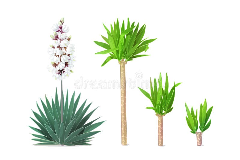 Clipart Das Plantas Dos Desenhos Animados Do Vetor Ilustração Do Vetor