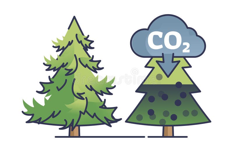 Clipart Illustration Depicting the Process of Carbon Sequestration ...