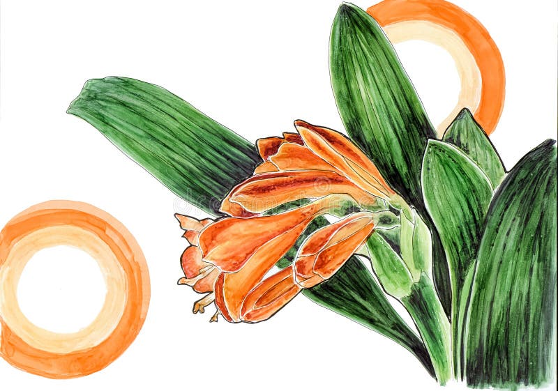 Clivia with Circles Markers Stock Illustration - Illustration of ...