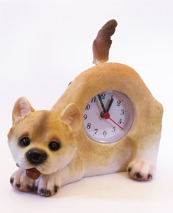479 Dog Alarm Clock Stock Photos - Free & Royalty-Free Stock Photos ...