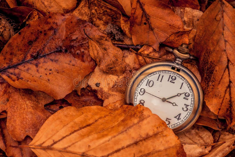Clock in autumn leaves stock photo. Image of aged, antique - 51589186