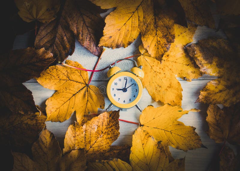 Clock on Autumn Maple Leaves Stock Image - Image of foliage, fall ...