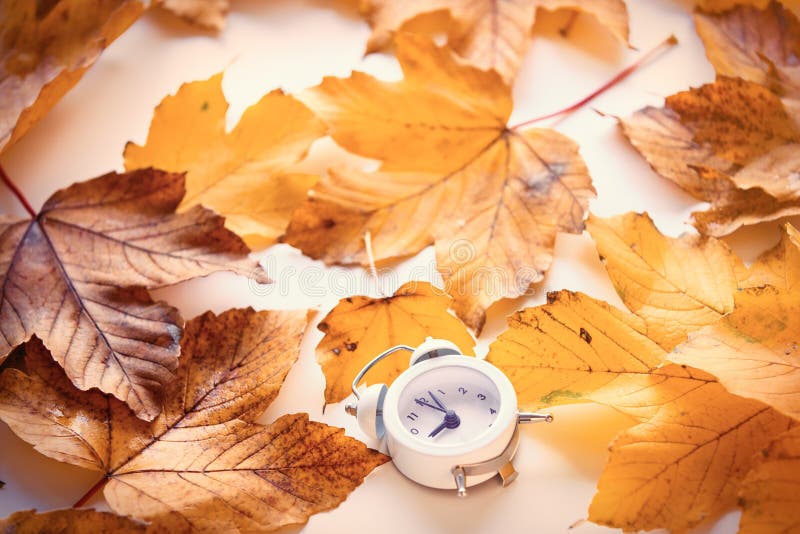 Clock on Autumn Maple Leaves Stock Photo - Image of metal, aged: 79643122